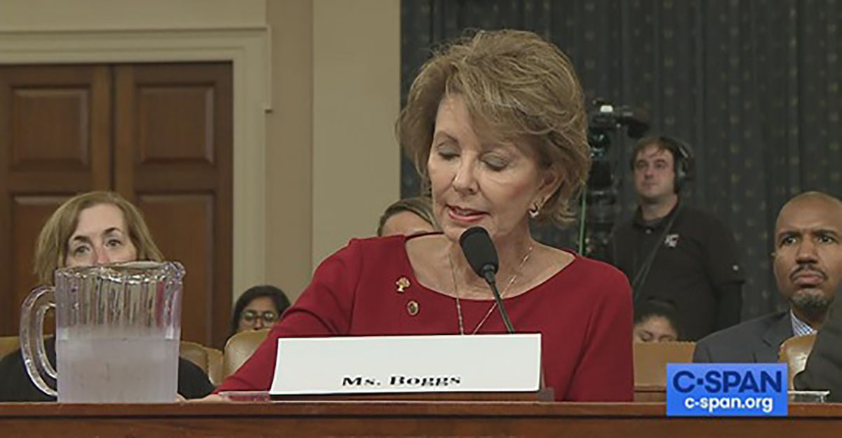 National PTA President Leslie Boggs testimony at Gun Violence Task ...