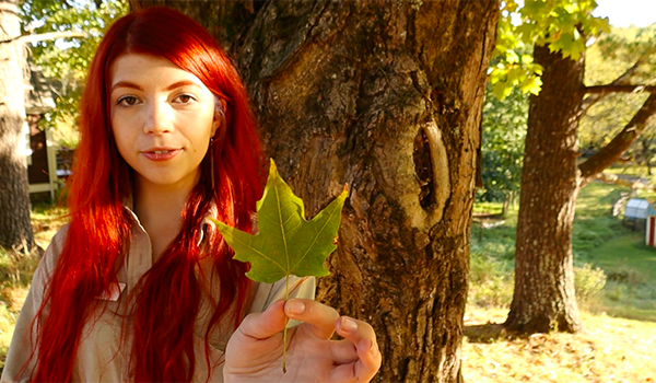 The Ashokan Center - New York State Parent Teacher Association