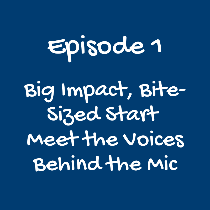Bite Sized Insights Podcast - New York State Parent Teacher Association