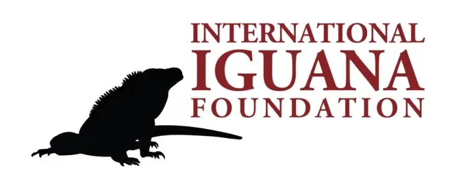 iif-logo - New York State Parent Teacher Association